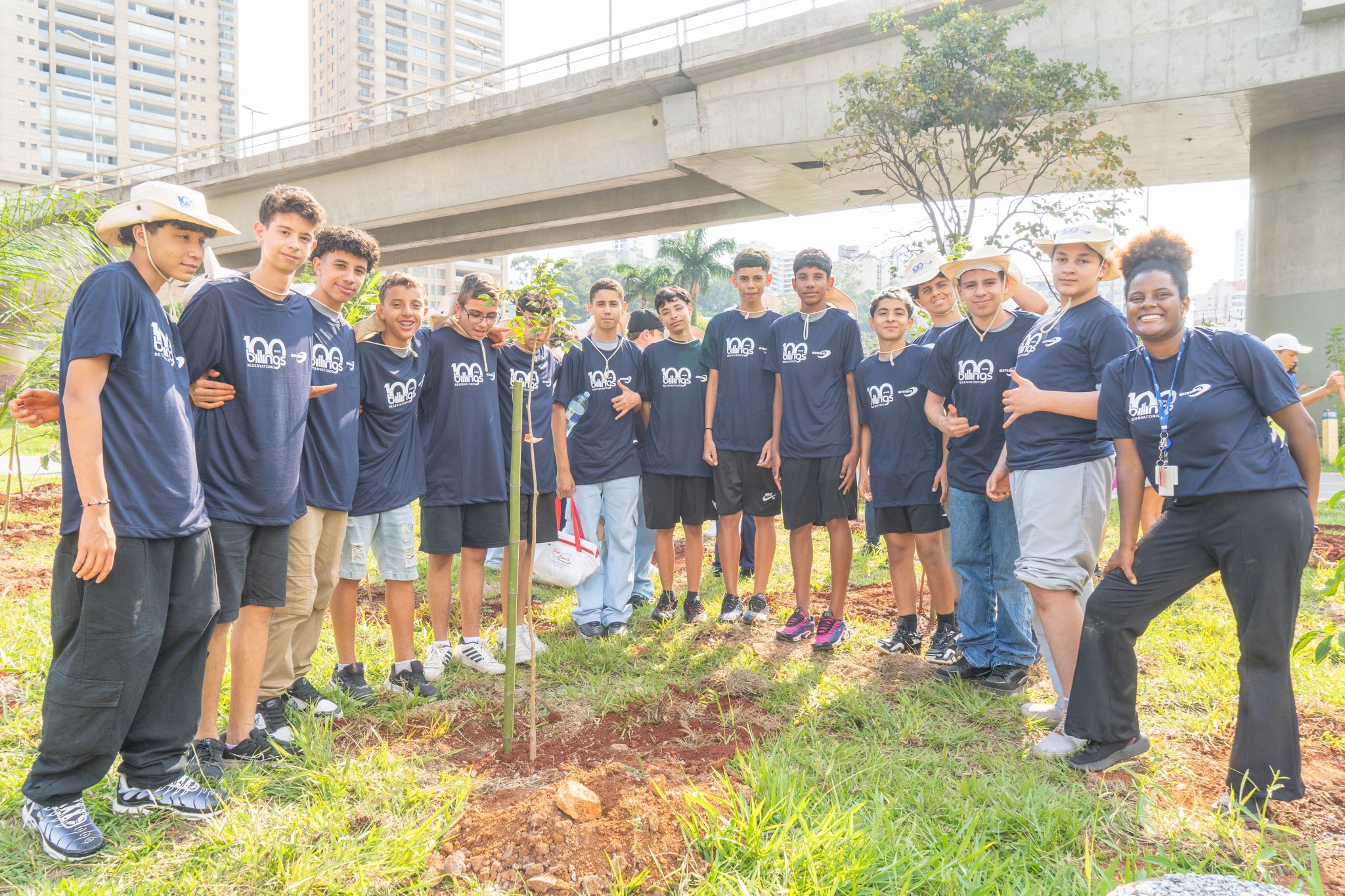 Emae inicia plantio de 100 mil mudas em centenário do Billings | EMAE